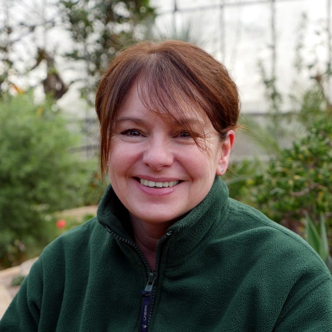 Stream The Princess Diana Garden at Capel Manor by World Radio ...