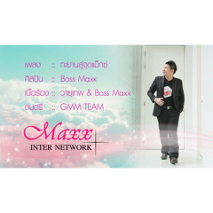 Maxx Inter Network Logo