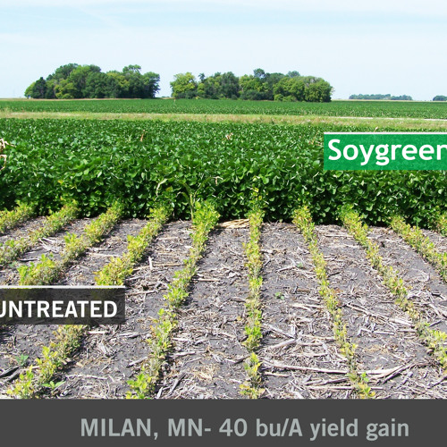 Stream How To Get Started Using Soygreen by LIFT | Listen online for ...