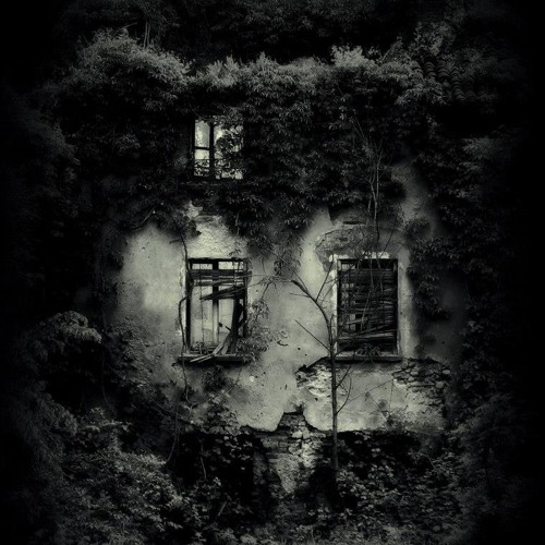 Stream Willow Reeve... by Marco Turrini | Listen online for free on ...