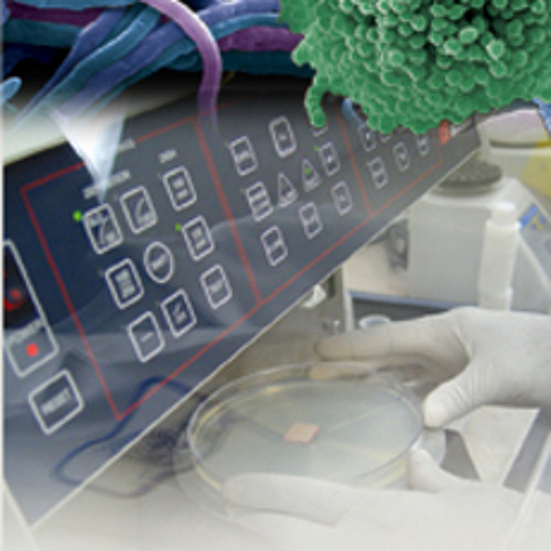 Stream WW2-17-15 OSHA Whistleblower Michael Madry From TestAmerica-H.I ...