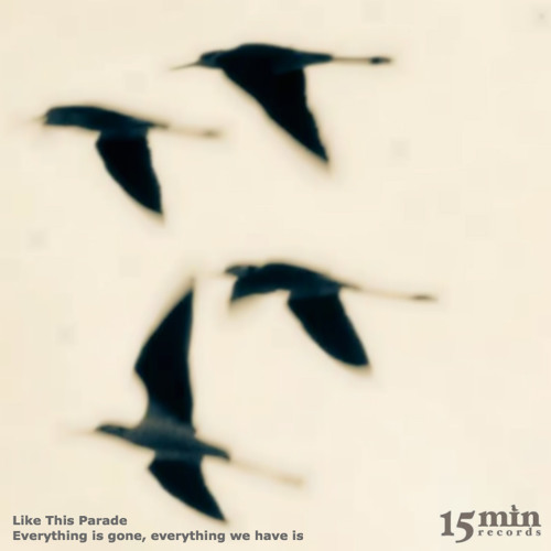 Stream Everything Is Gone, Everything We Have Is (DEMO) by Like This ...