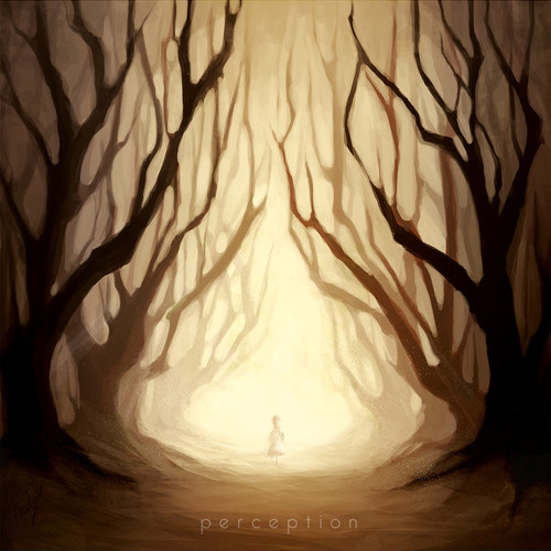 Stream Jure Peternel - Perception by Jure Peternel | Listen online for ...