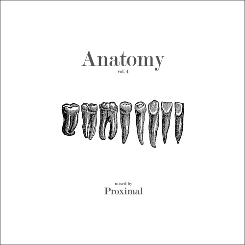 Stream Anatomy Podcast Vol.4 - Proximal (aka Aaron Cho) by Aaron Cho ...