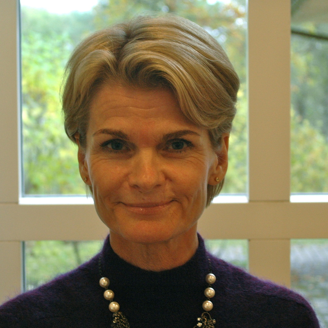 Stream Vem styr hälso- och sjukvården? Helén Norström & Hans Winberg by ...