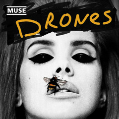 Connor Sutherland's Instagram, Twitter & Facebook on IDCrawl