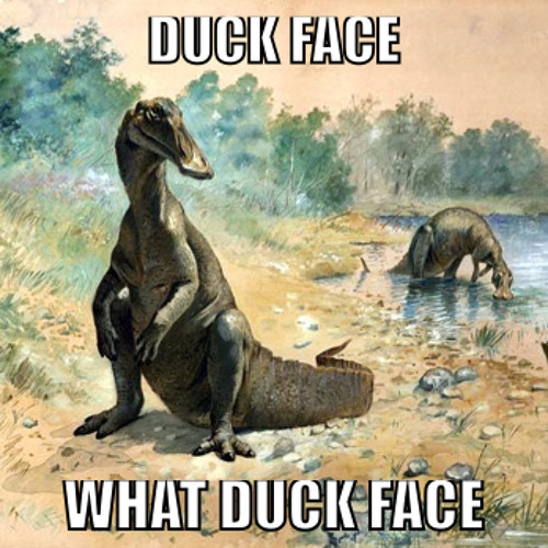 Stream Duck Face Dinosaur by Thomas Wilson | Listen online for free on ...
