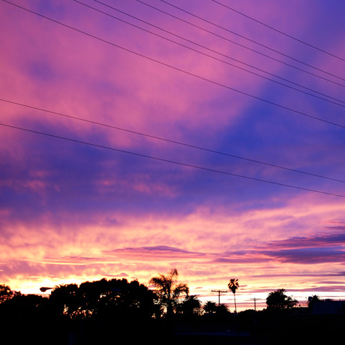 Stream Shore Thang | Listen to Drank Tank playlist online for free on ...