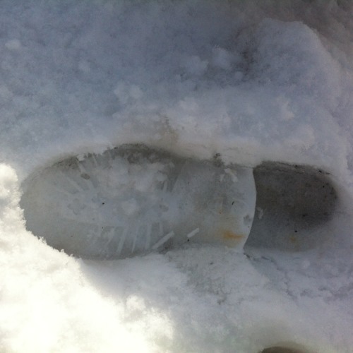 Stream See Through by Sefi Cohen | Listen online for free on SoundCloud