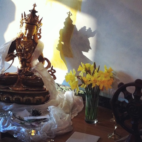 Stream 04 Guided Practice Of The Mudita Bhavana - Cultivation Of ...