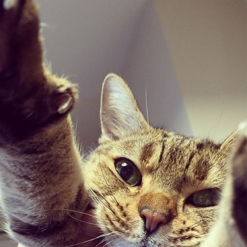 Stream 【preview】DJ Oni - Cover by Waveform Music Lab | Listen online ...