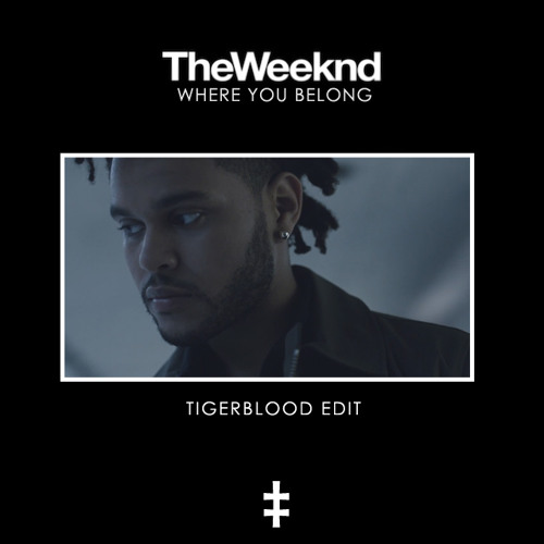 The Weeknd - Where You Belong (TIGERBLOOD Edit) by TIGERBLOOD ‡ - Free ...