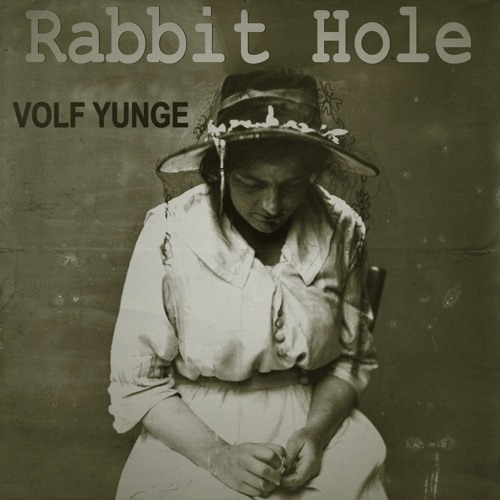 Stream Rabbit Hole (Original) by Volf Yunge | Listen online for free on ...
