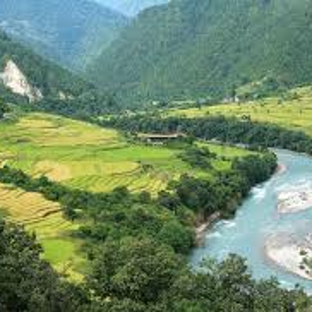 Stream No Phobia Jigme | Listen to Boedra Song playlist online for free ...