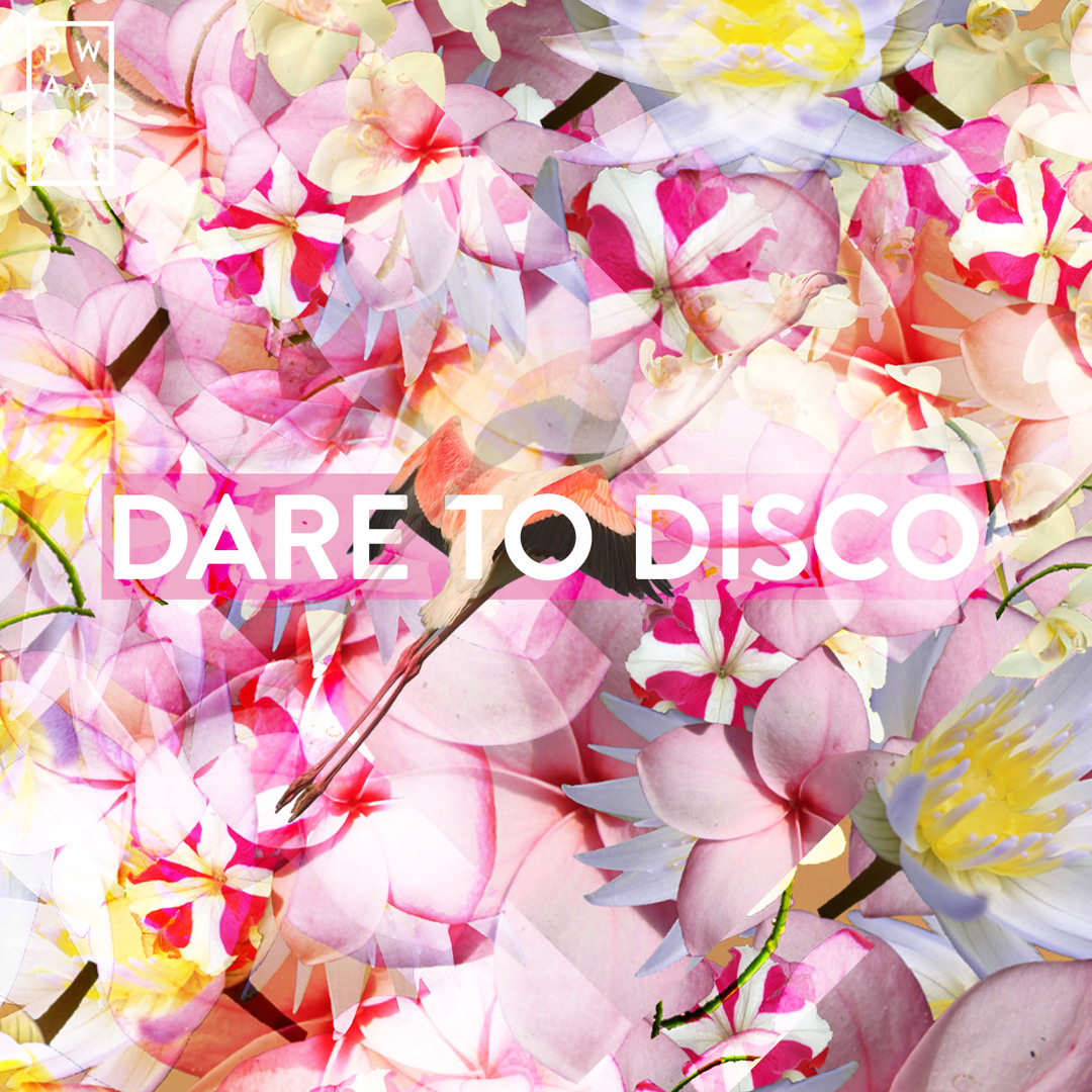 Stream Dare To Disco by Patawawa | Listen online for free on SoundCloud