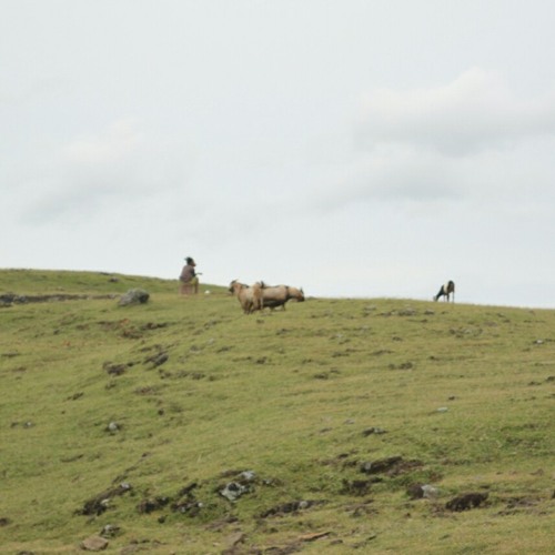 Stream Pot - Home On The Range by Barong Soetardja | Listen online for ... Stream Pot - Home On The Range by Barong Soetardja | Listen online for ...