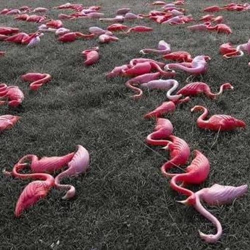 Stream Death Flamingo-Plugger by BlindFace | Listen online for free on ...