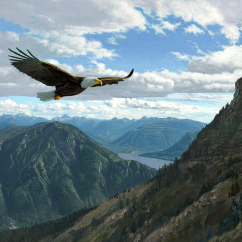 Stream Aguila Aguile by Agatlí | Listen online for free on SoundCloud