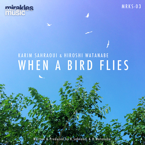 Stream Karim Sahraoui & Hiroshi Watanabe - When A Bird Flies by ...