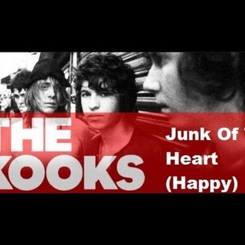 The Kooks Junk Of The Heart