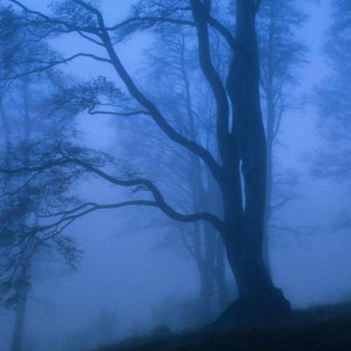 Stream Upon Mystic Places (2013) by Aaron Travers | Listen online for ...