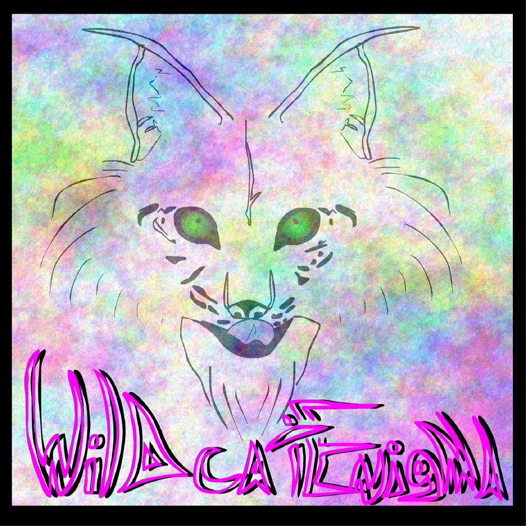 Stream WHAT A SPOOKY EFFECT by Wildcat Enigma | Listen online for free ...