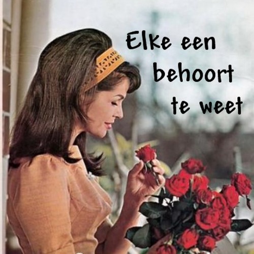 Stream Elke Een Behoort Te Weet Wie Jesus Is by Orangetail | Listen ...