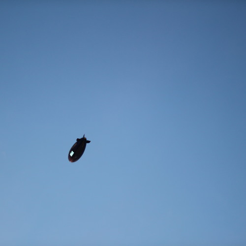 Stream Shore Thang | Listen to Dream Life playlist online for free on ...