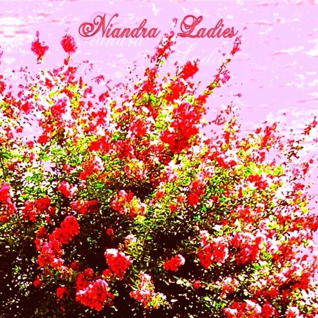 Stream Niandra Ladies | Listen to What's the good of ... Niandra Ladies ...