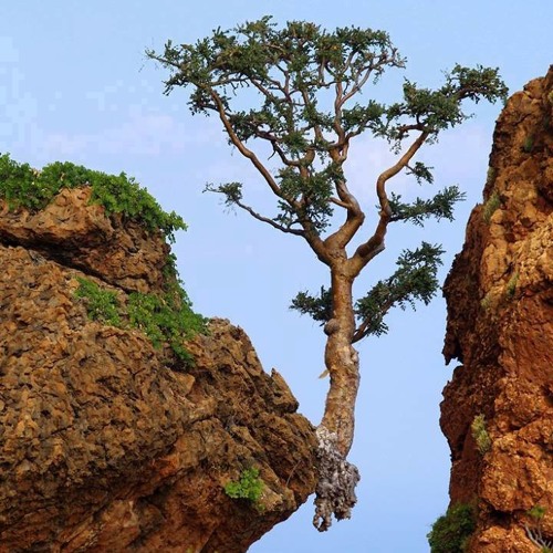 Stream Alexandru Groza - Fratii Groza - Pocaieste - Te Omule by Ciprian ...