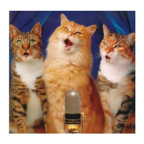 Stream Sing Children Sing by Barbara Fleet | Listen online for free on ...