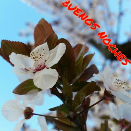 Stream The Call (skit) by K-Dizzle | Listen online for free on SoundCloud