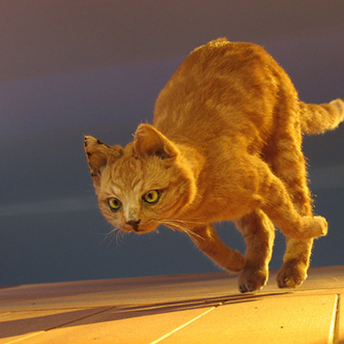 Stream The Chase by Barbara Fleet | Listen online for free on SoundCloud