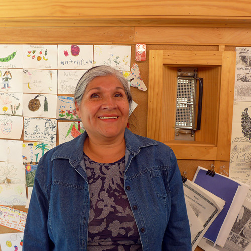 Stream Inés Ramos, el grupo Mariposas Cosechando el Bienestar y ...