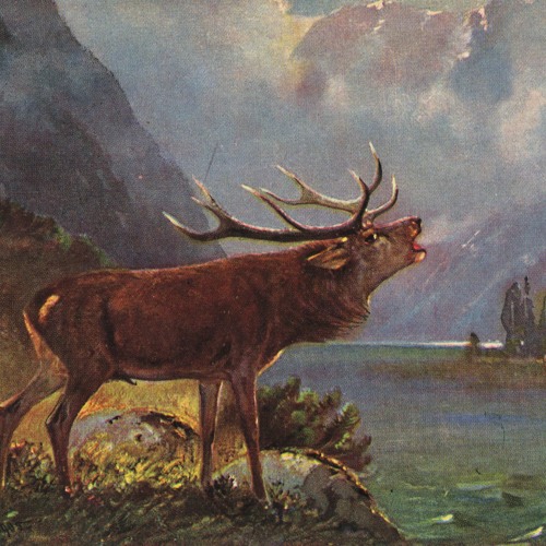 Stream an aus an aus an aus an aus an aus an aus an aus an aus by ...