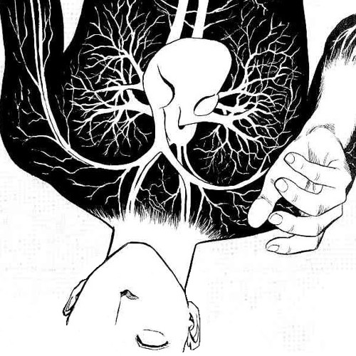 Stream The Untrained Eyes - Human Blueprints by Reverie Vérité Lahaie ...