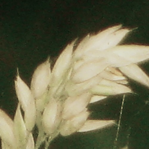 Stream La Surfah by Relay Loom | Listen online for free on SoundCloud