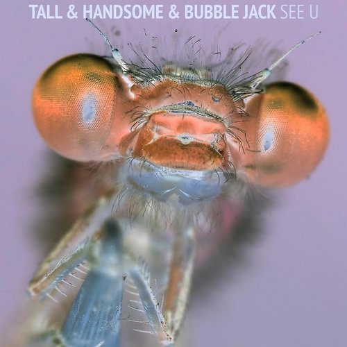 Stream Tall & Handsome, Bubble Jack - See U (Original Mix) by Bubble ...