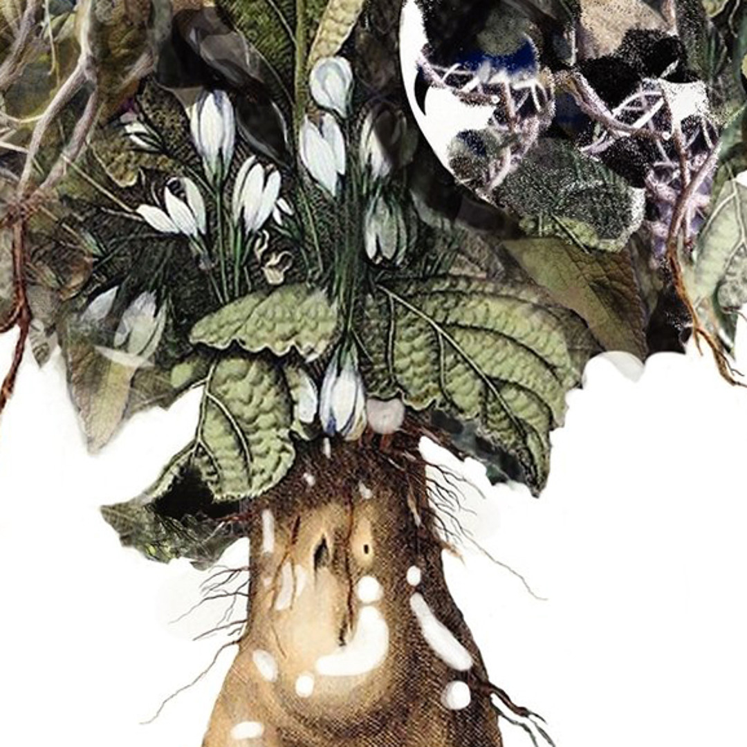 Stream B Catling Intro 05 by Gawker | Listen online for free on SoundCloud