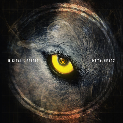 Stream Digital & Spirit - Mosquito [OUT NOW] by Metalheadz | Listen ...