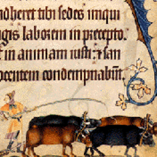 Stream Lawrence Warner reads Piers Plowman by History Today | Listen ...