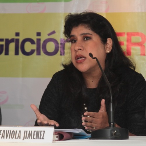 Stream Entrevista a Faviola Jiménez en La Rotativa del Aire: Campaña ...
