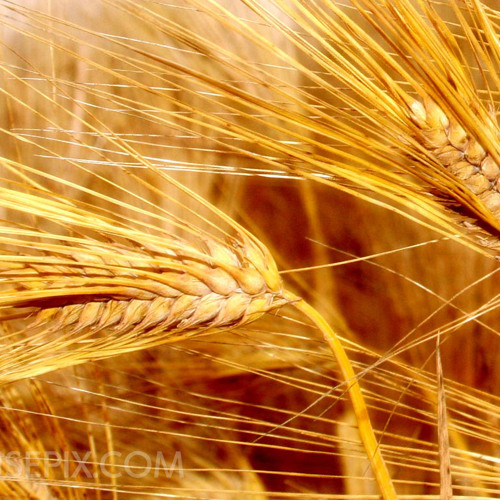Stream Creer Des Opportunités - Pasteur Chantale Paul-Hus by Église Sur ...