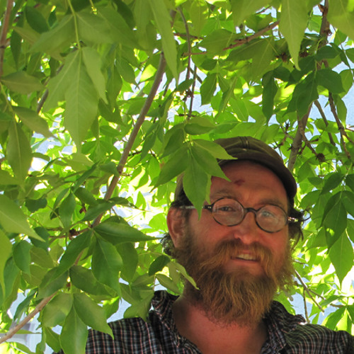 Stream Brett Ellison talks about food justice and human rights by ...