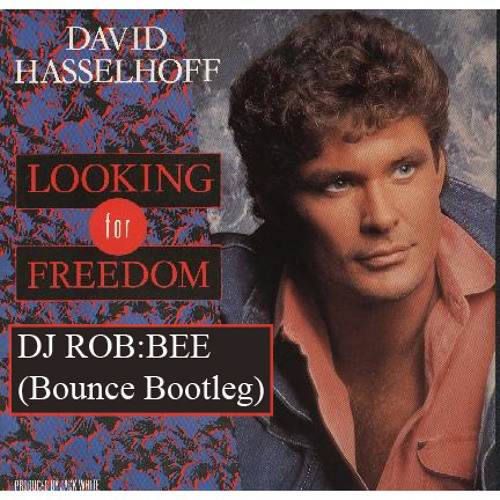 Stream David Hasselhoff - Looking For Freedom DJ Rob Bee Bounce Bootleg ...