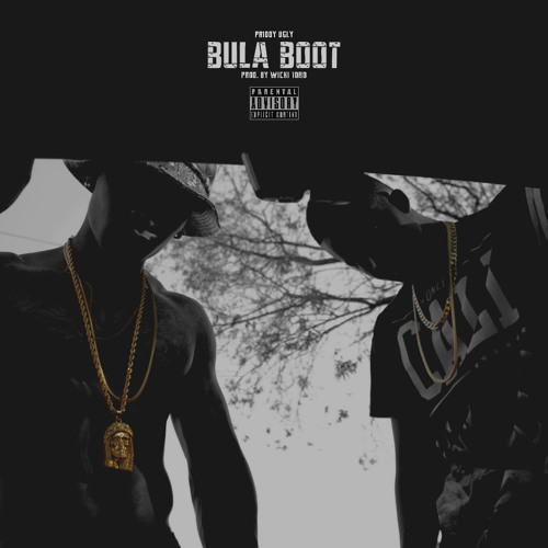 Stream Priddy Ugly - Bula Boot (Prod. by Wichi 1080) by wichi 1080 ...
