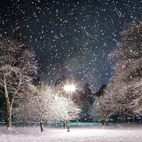 Stream ( Mid Winter's Dream) by (Ralph Lee Ridenour) | Listen online ...