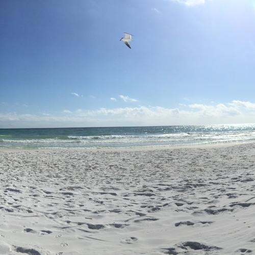 Stream As The Deer (Panteth for the water) Piano Cover by Bethany ...