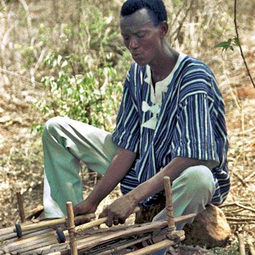 Stream Xylophone by David Mortara | Listen online for free on SoundCloud