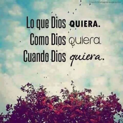 Stream Paso A Paso[6] by Omi Baby el Marciano | Listen online for free ...